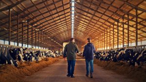 Power Oil Rostock · Produkte